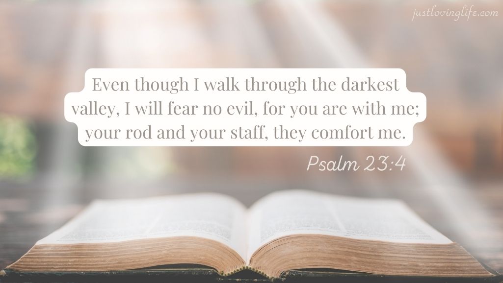 What Does Psalm 23 4 Mean Just Loving Life What Does Psalm 23 4 Mean Just Loving Life